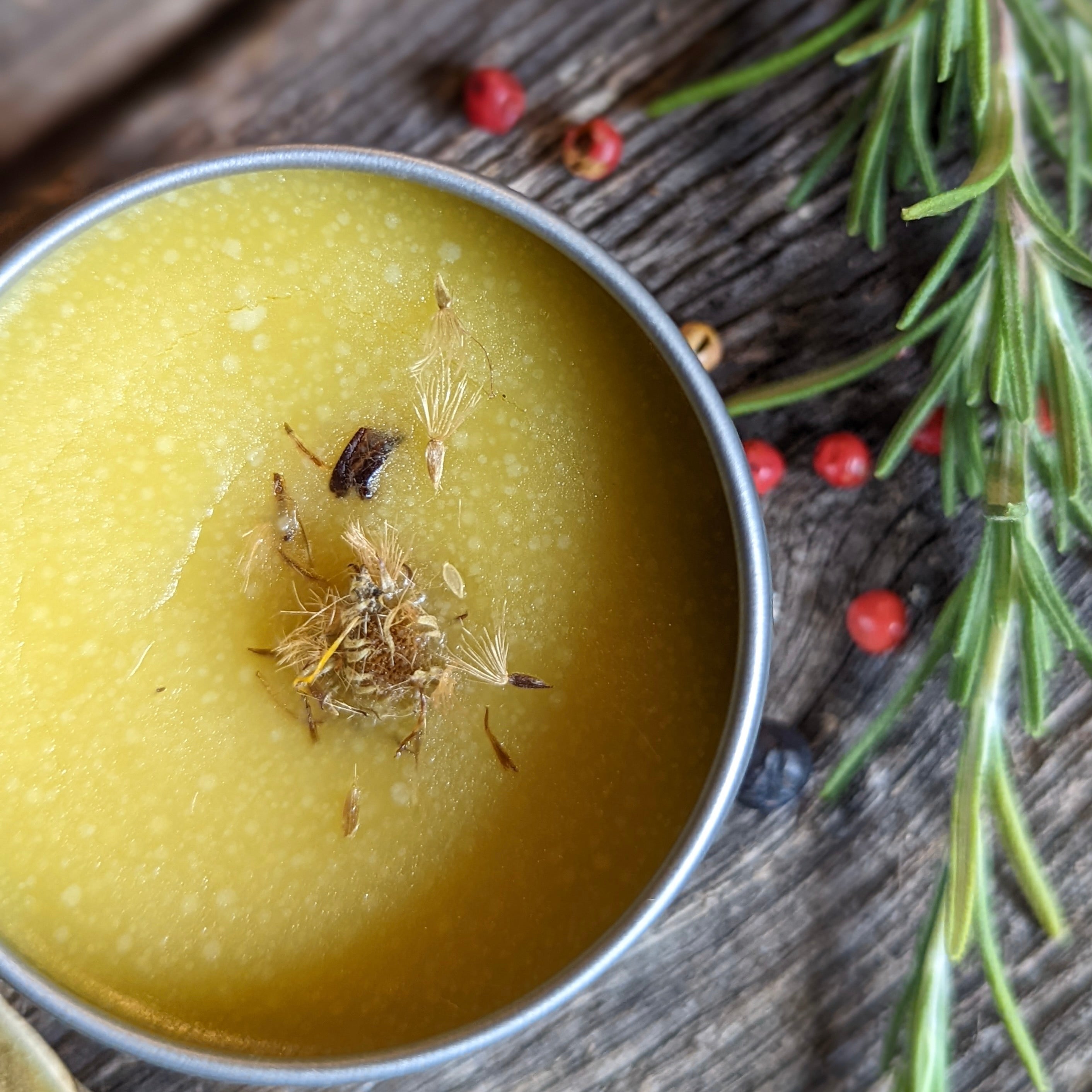 Arnica Ginger Willow Salve | The Folk Collaborative